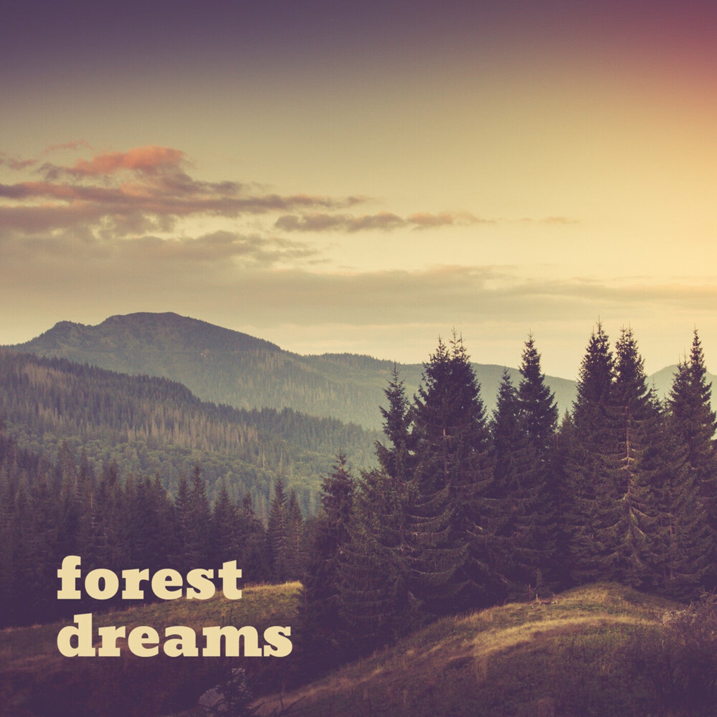 Broadleaf by Forest Dreams on Beatsource