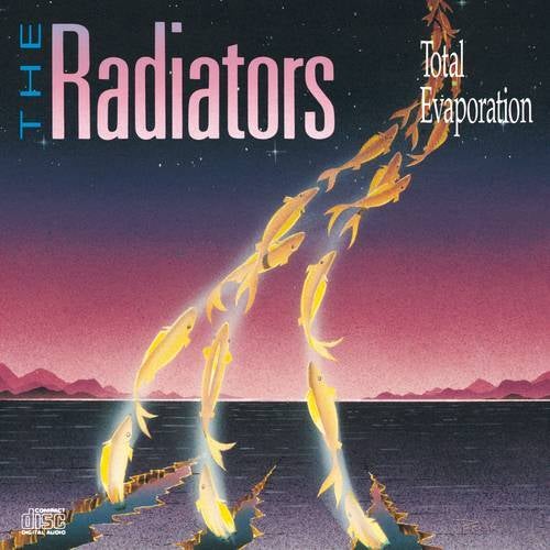Solid Ground - Album Version by The Radiators on Beatsource