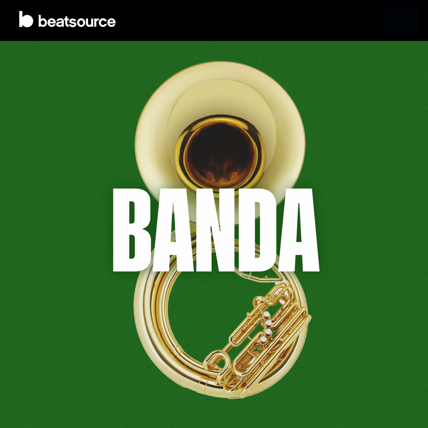 Banda Playlist for DJs on Beatsource