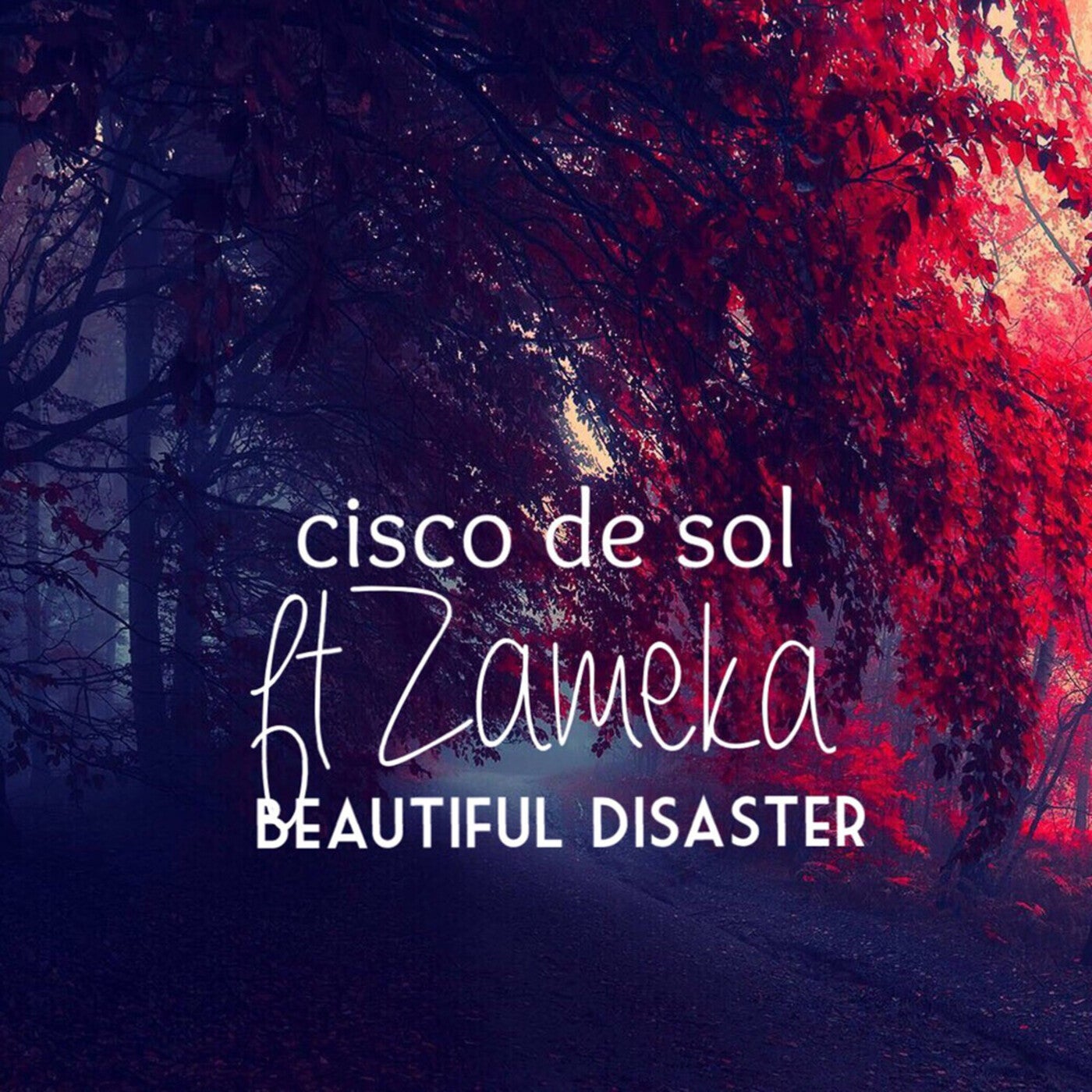 Beautiful Disaster by Zameka and Cisco de Sol on Beatsource