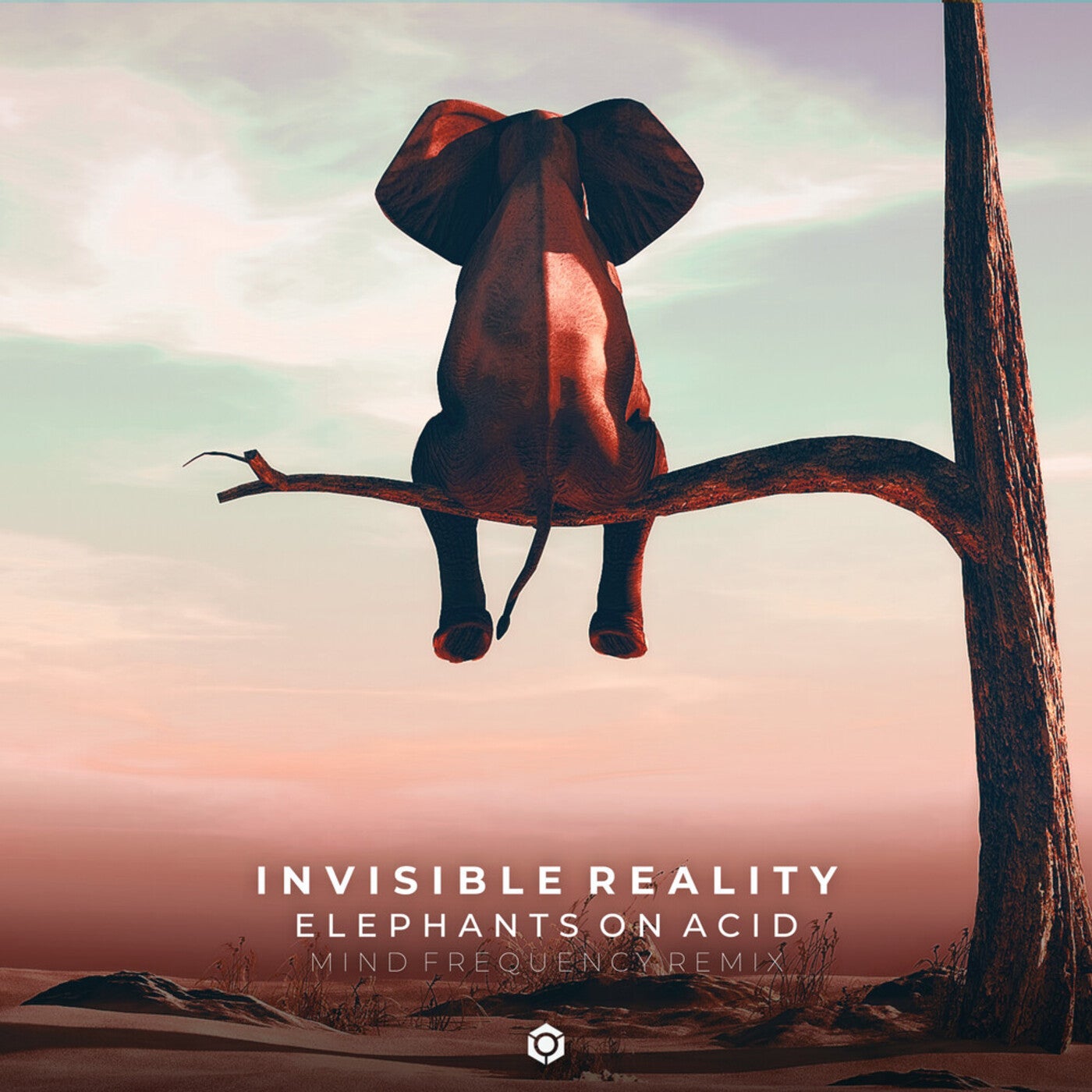 Elephants on Acid by Invisible Reality on Beatsource