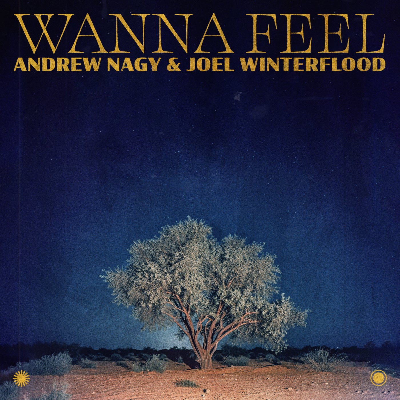Wanna Feel by Andrew Nagy and Joel Winterflood on Beatsource