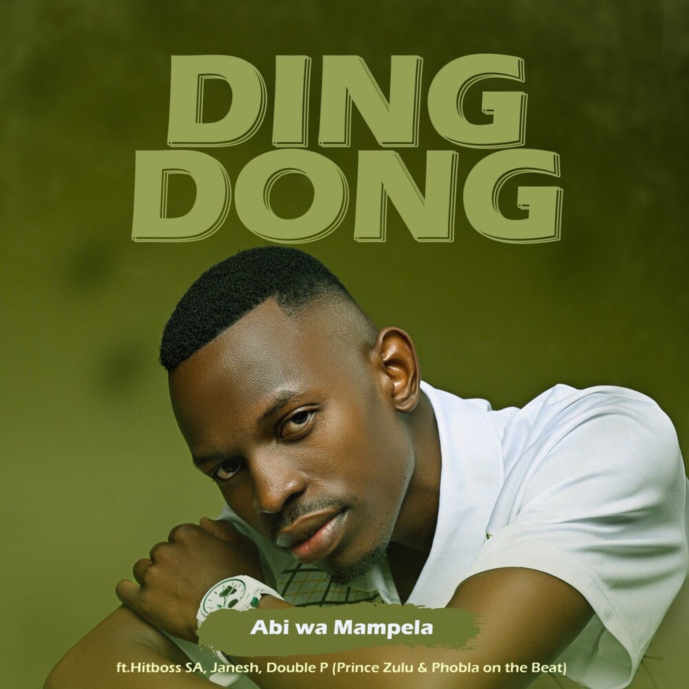 Ding Dong by Janesh, Abi wa Mampela, Hitboss SA, Phobla on the beat and ...