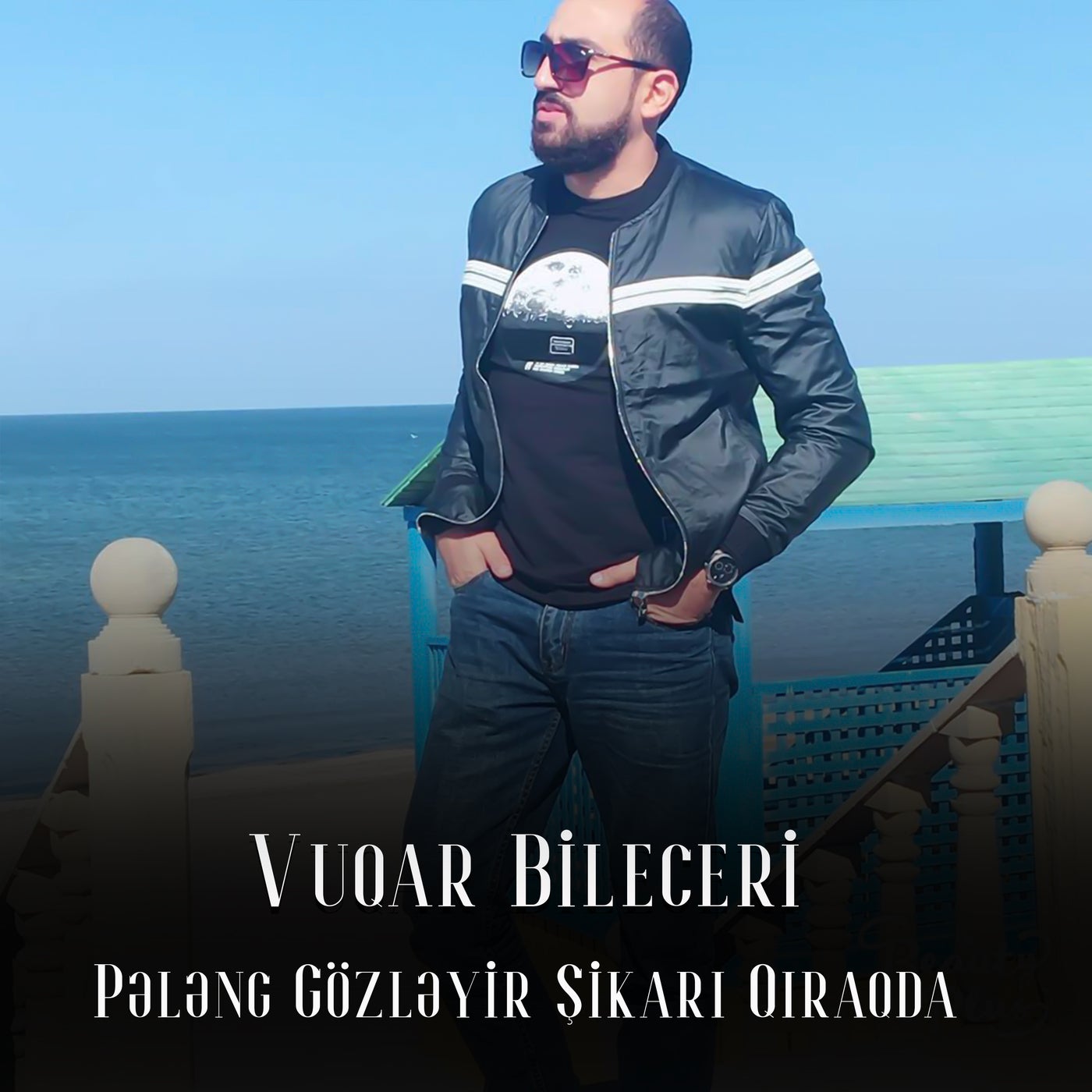 Pələng Gözləyir Şikarı Qıraqda by Vüqar Bileceri on Beatsource