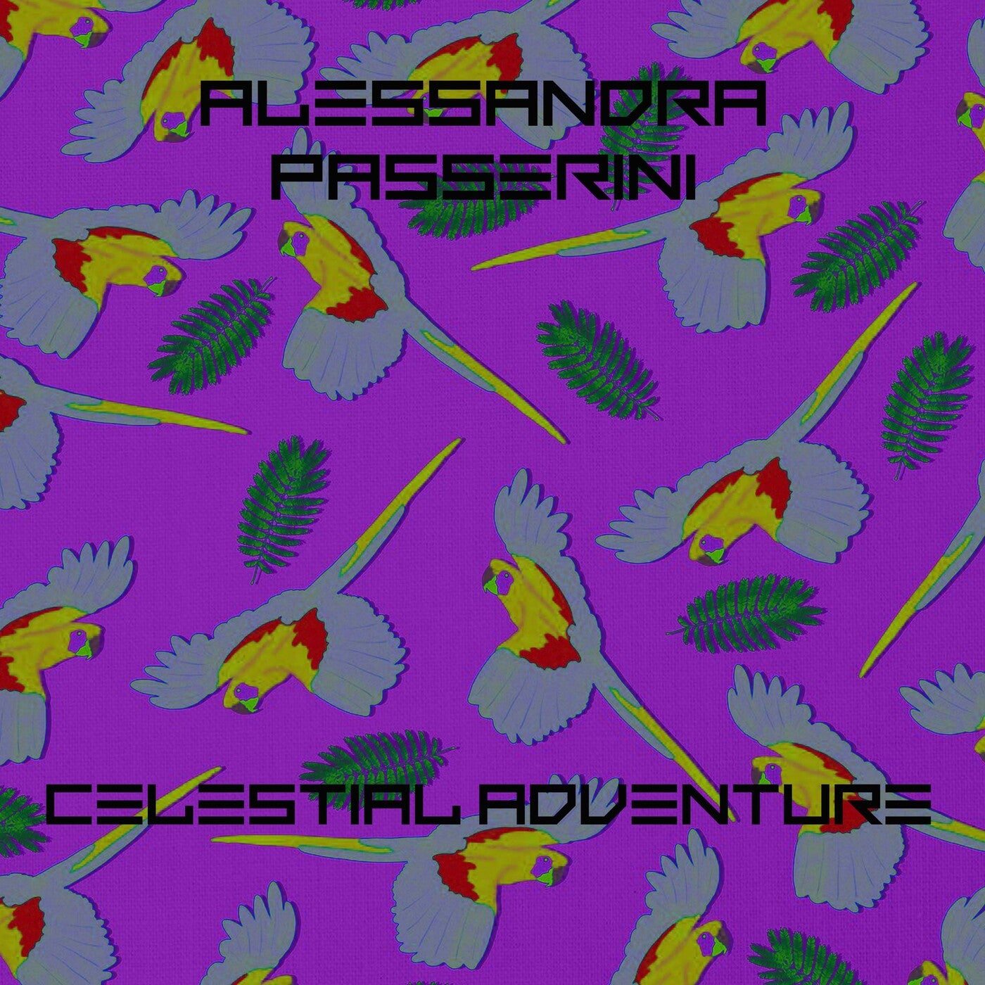 Celestial Adventure by Alessandra Passerini on Beatsource