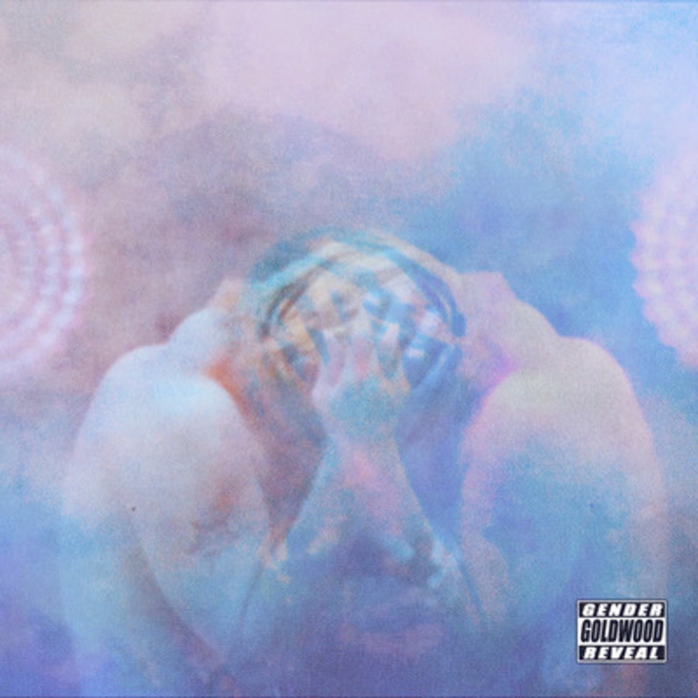Gender Reveal by Ygb, Goldwood, Delivery Boys and Max Gertler on Beatsource