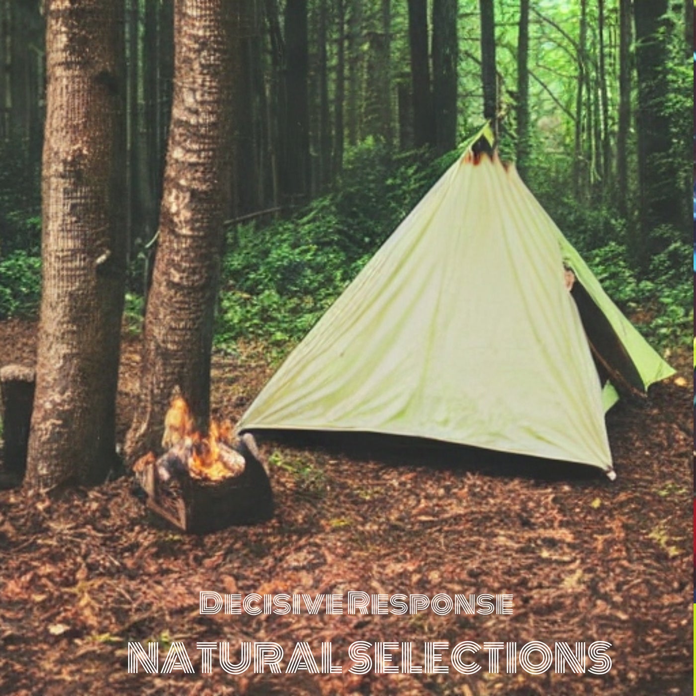 Decisive Response by Natural Selections on Beatsource