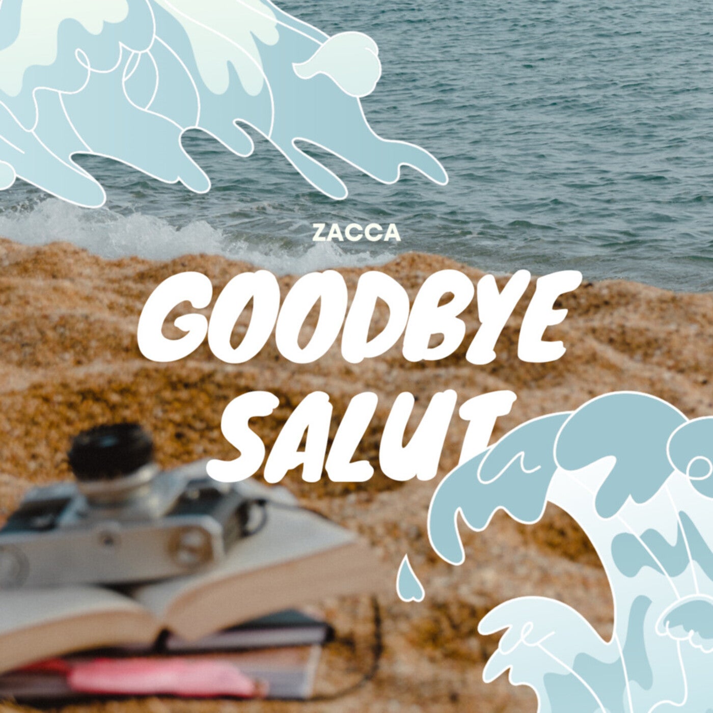 Goodbye, Salut by Zacca on Beatsource