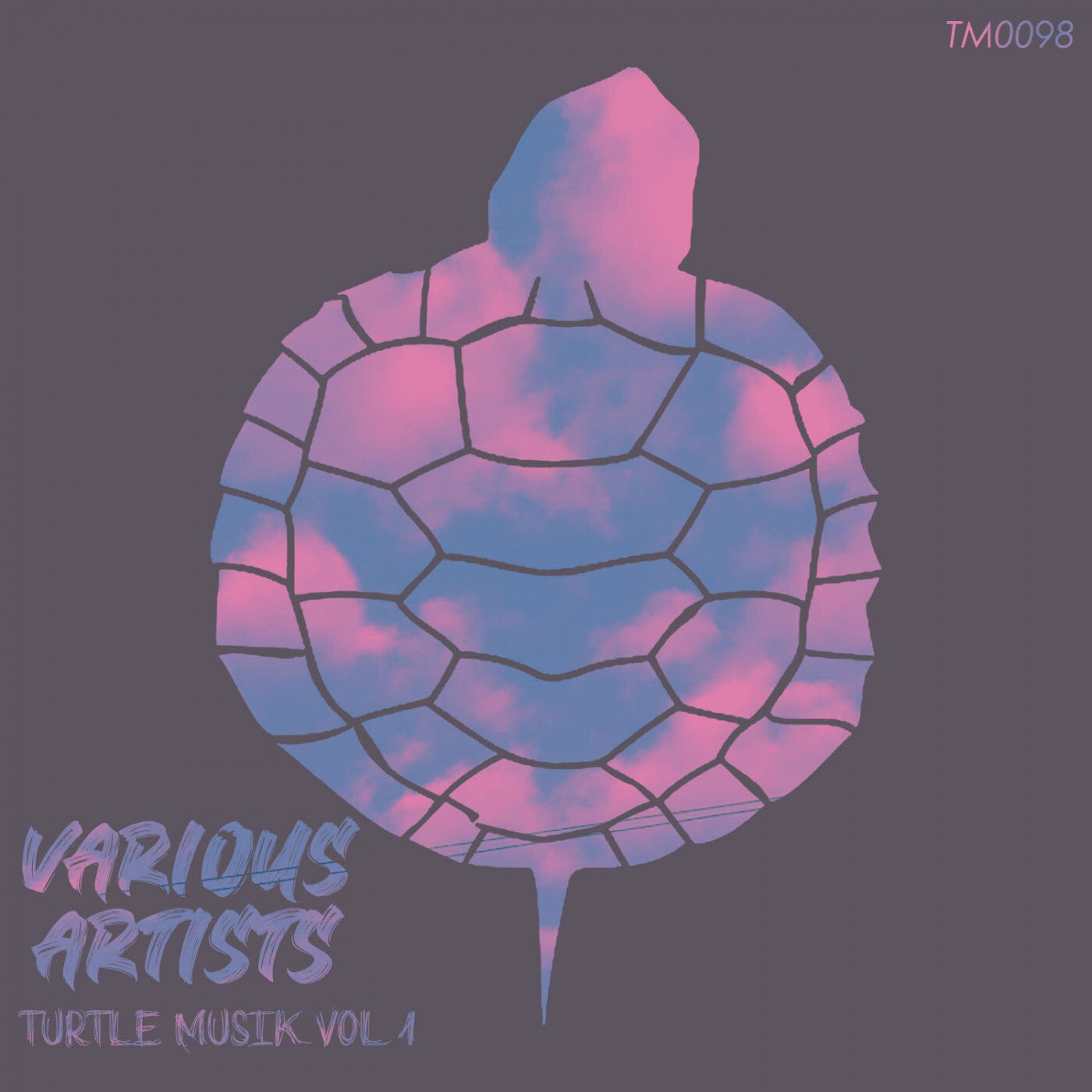 Turtle Musik Vol 1 by Akim, Alexx Stefanov, Anuar Rendon, Manuel ...
