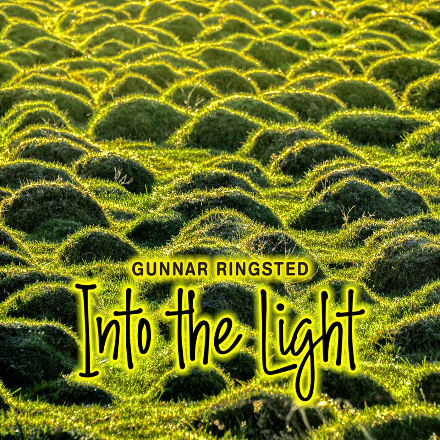 Into the Light by Gunnar Ringsted on Beatsource