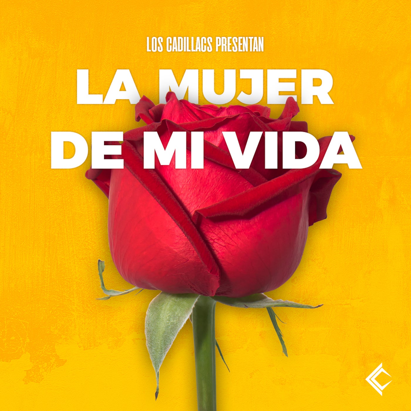 La Mujer De Mi Vida by Los Cadillacs on Beatsource