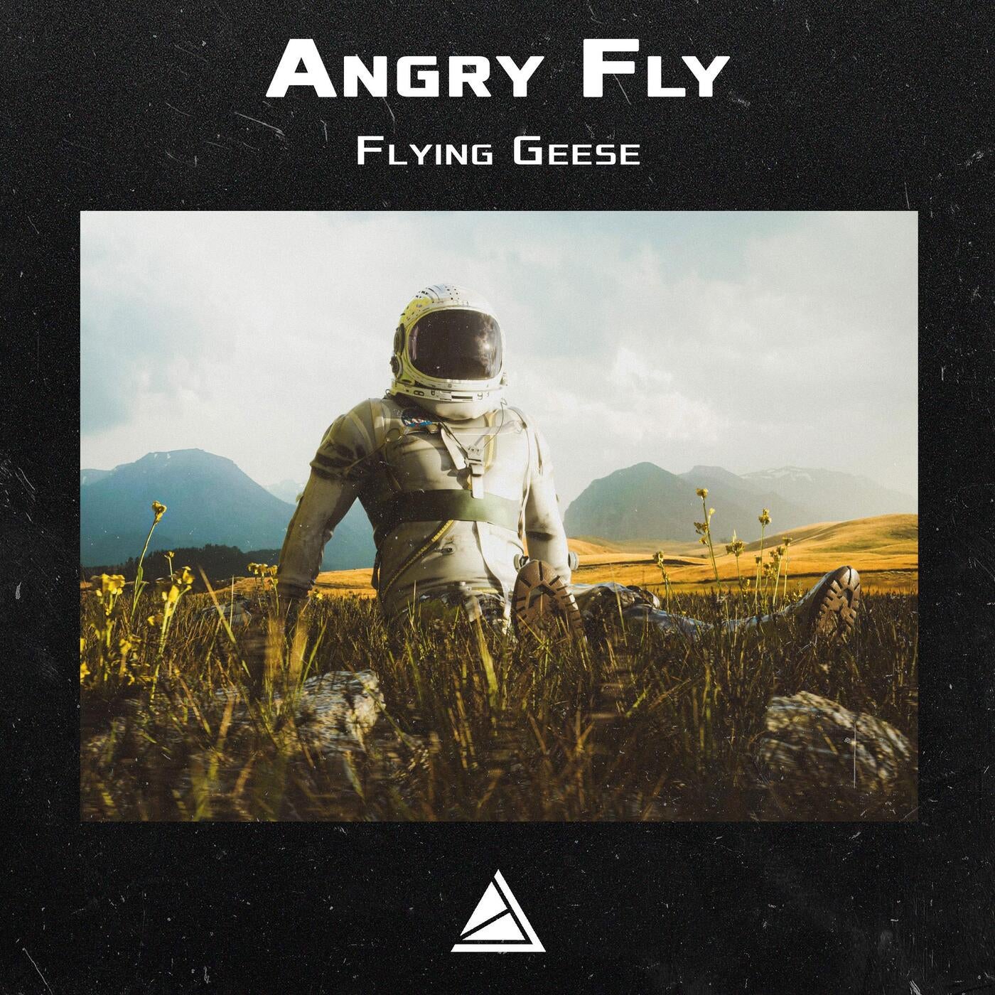 Flying Geese by Angry Fly on Beatsource