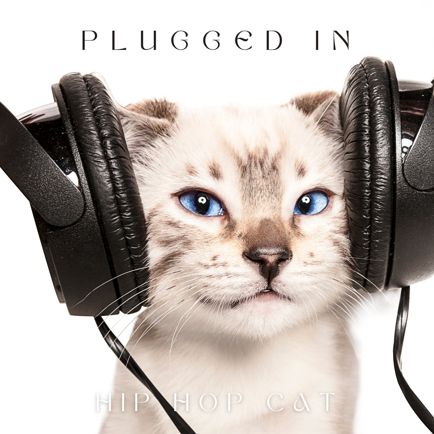 Plugged In by Hip Hop Cat on Beatsource