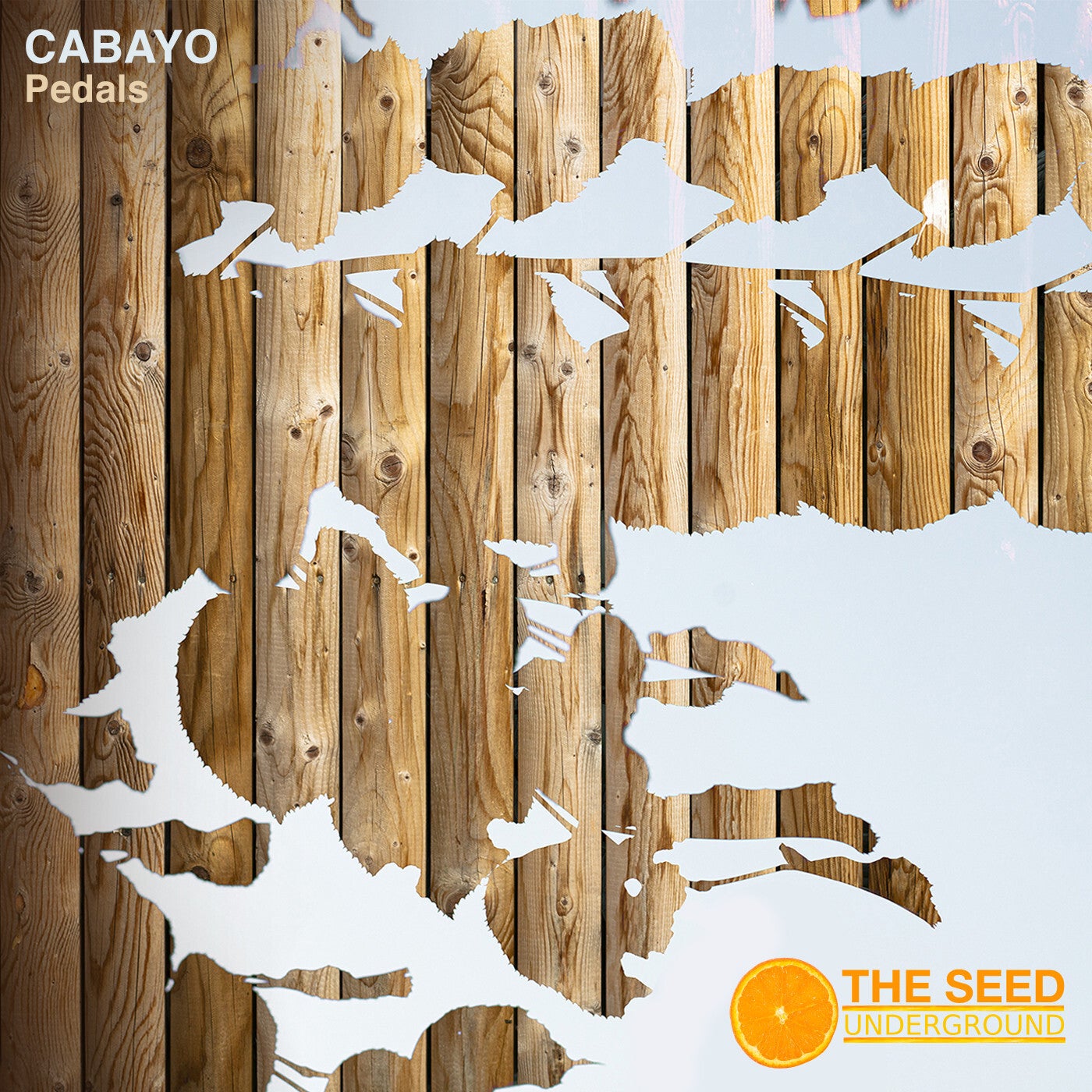 Pedales by Cabayo on Beatsource