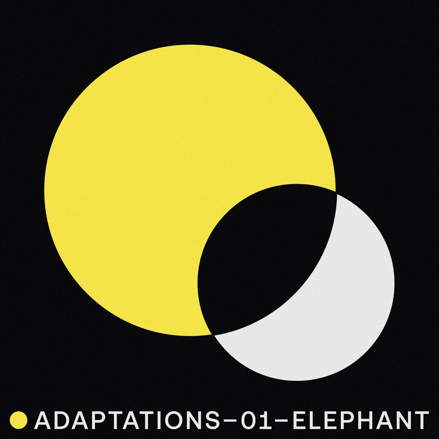 Adaptations Volume 1 by Elephant Music on Beatsource