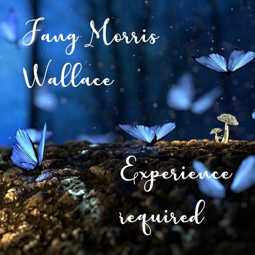 Experience required by Fang Morris Wallace on Beatsource