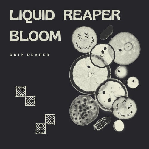 Drip Reaper Music and DJ Edits on Beatsource