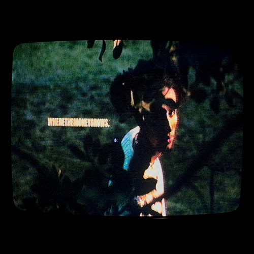 WHERETHEMONEYGROWS. by Oblé Reed on Beatsource