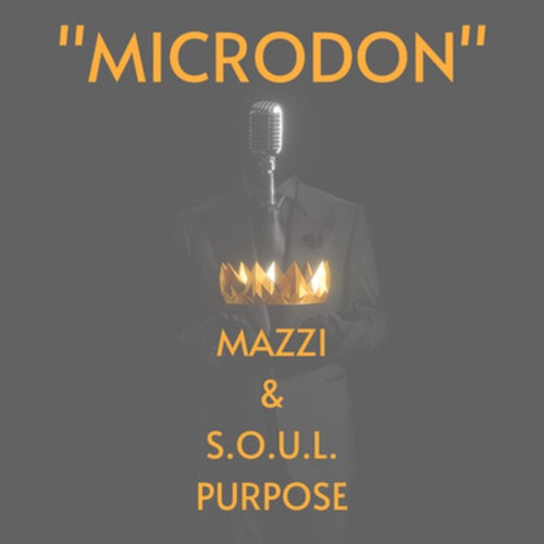 Microdon by Mazzi and S.O.U.L. Purpose on Beatsource